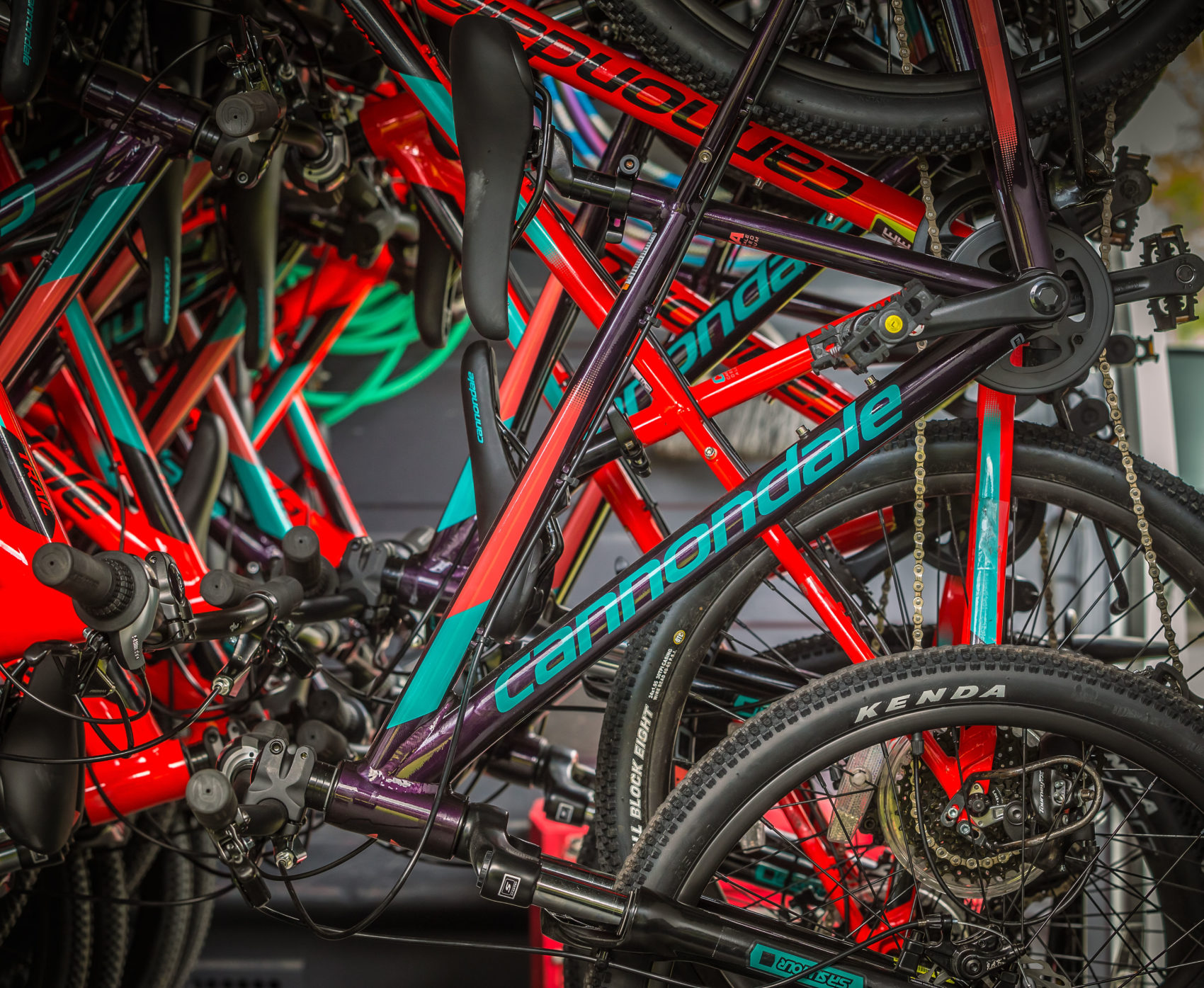 About HopOn - HopOn Cycling BC